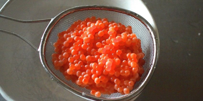 Ikura Recipe (Marinated Salmon Roe) - Japan Food Style