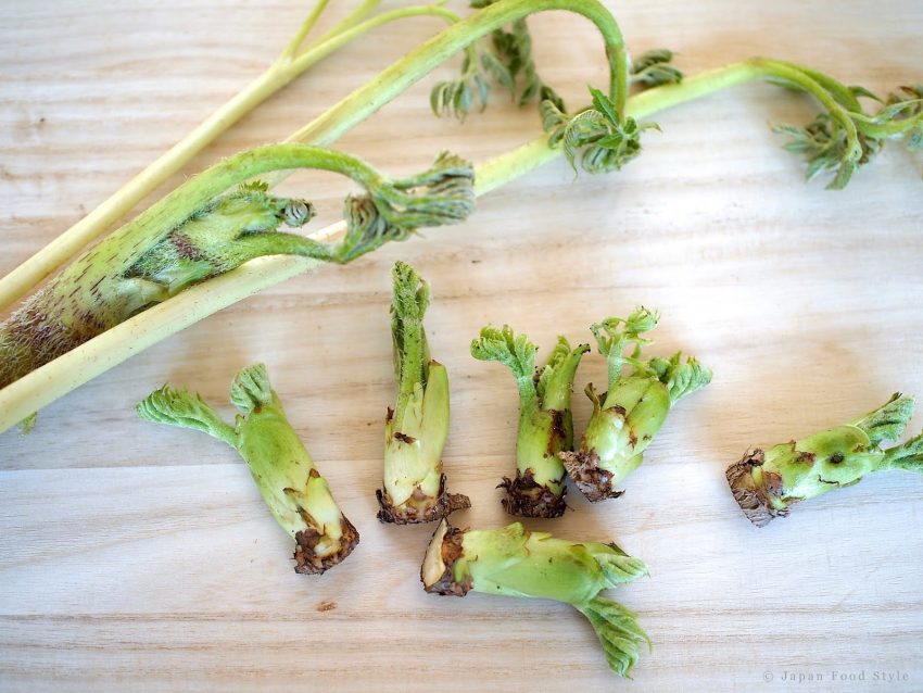 Sansai Tempura (deep fried edible wild plants) in Japan - Japan Food Style