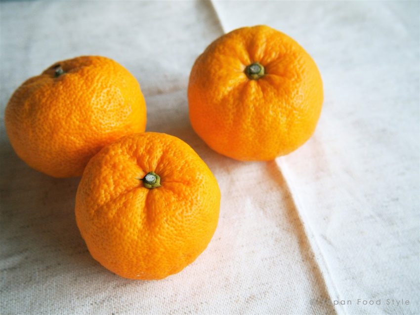 Japanese Yuzu: Citrus Fruit – Japan Food Style